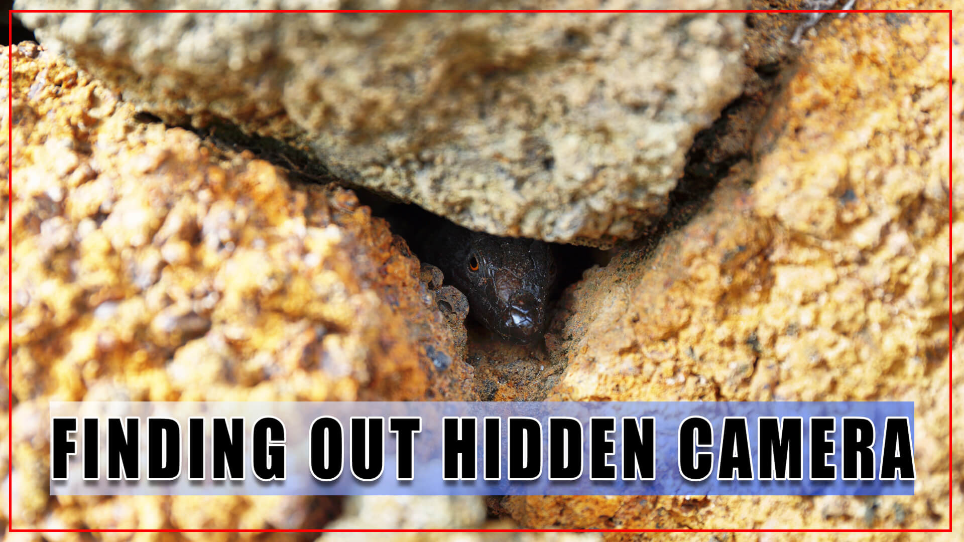 Learn Tips for Finding Out Hidden Camera in Your Surroundings