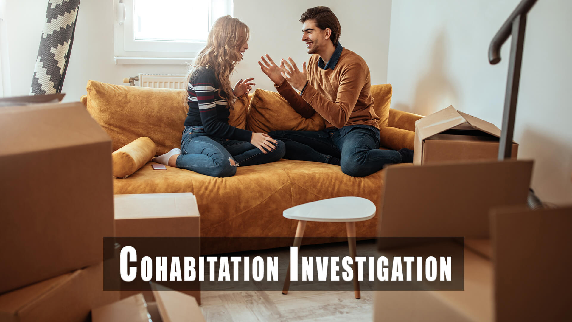 Explore Services and Process of Cohabitation Investigation