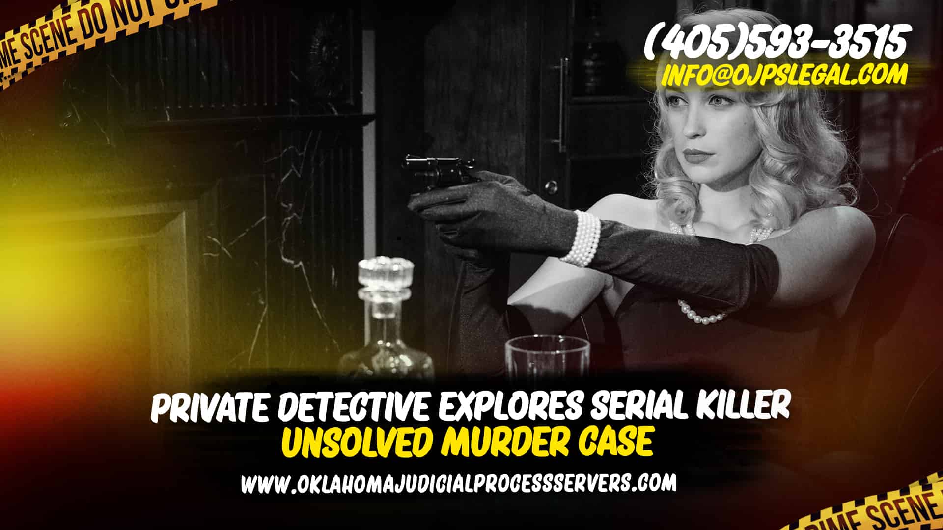 Serial Killer Private Investigations Unsolved Murder Insight